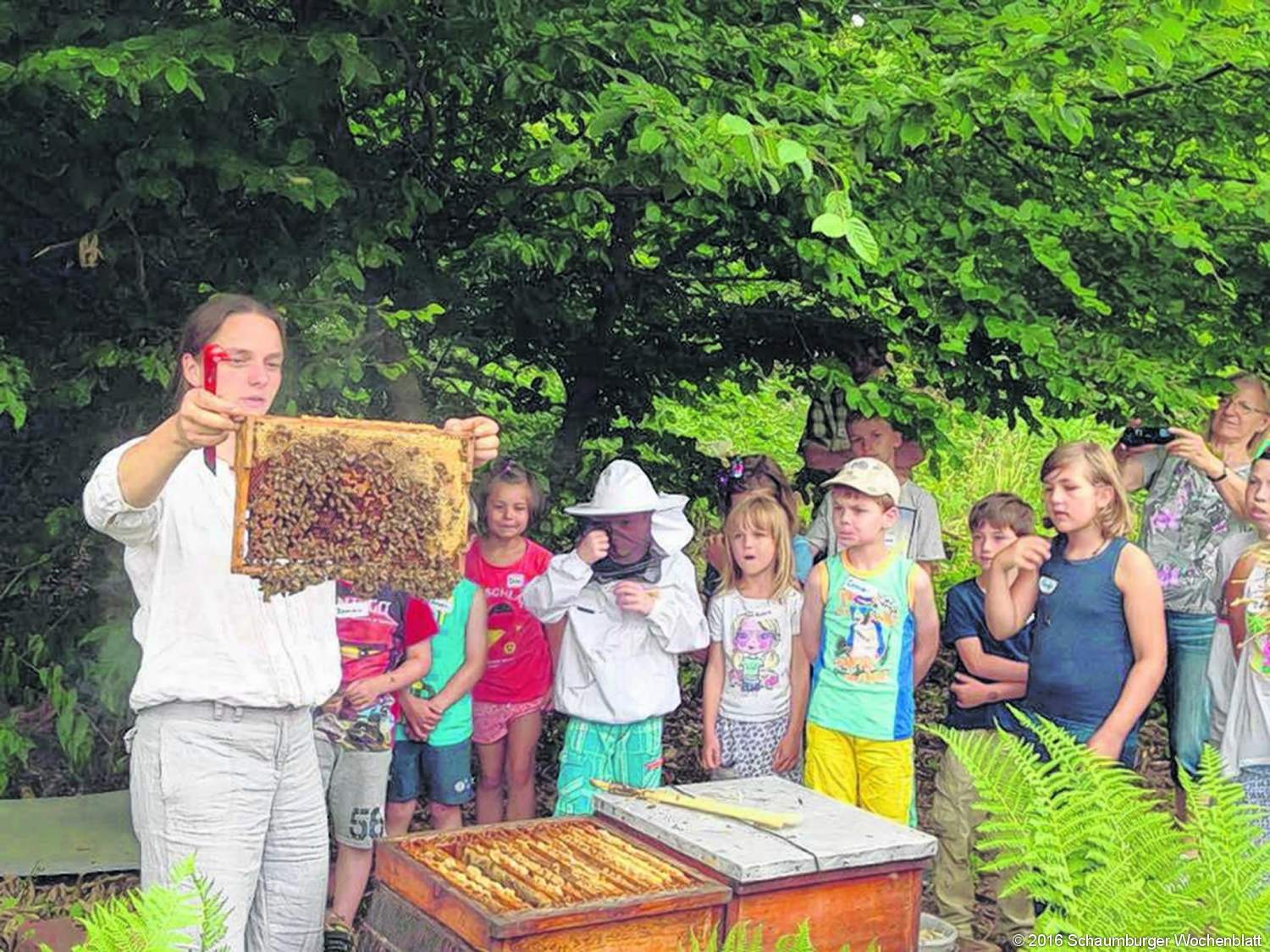 Schaumburger Wochenblatt » "Wo kommt eigentlich der Honig her ...